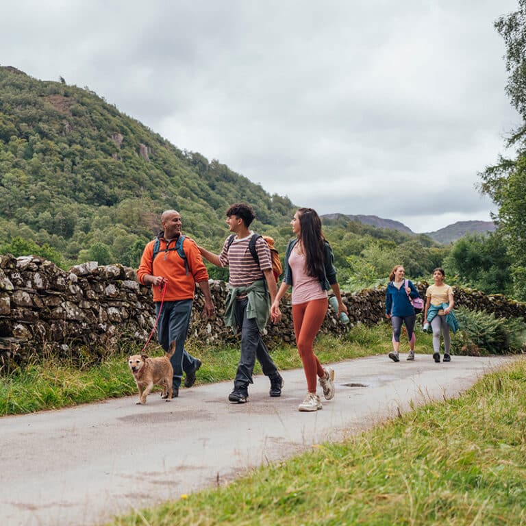 Disability services - Seetec